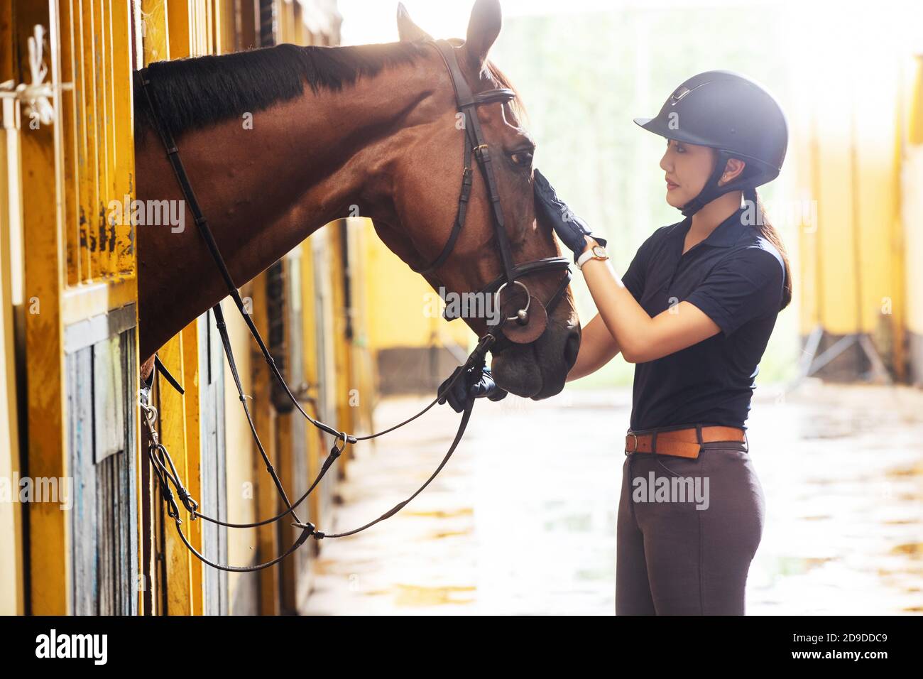 The stable calm horse young woman Stock Photo - Alamy