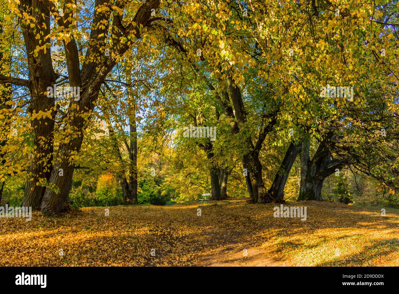 Autumn feelings in the beautiful Werra valley - Thuringia / Germany ...