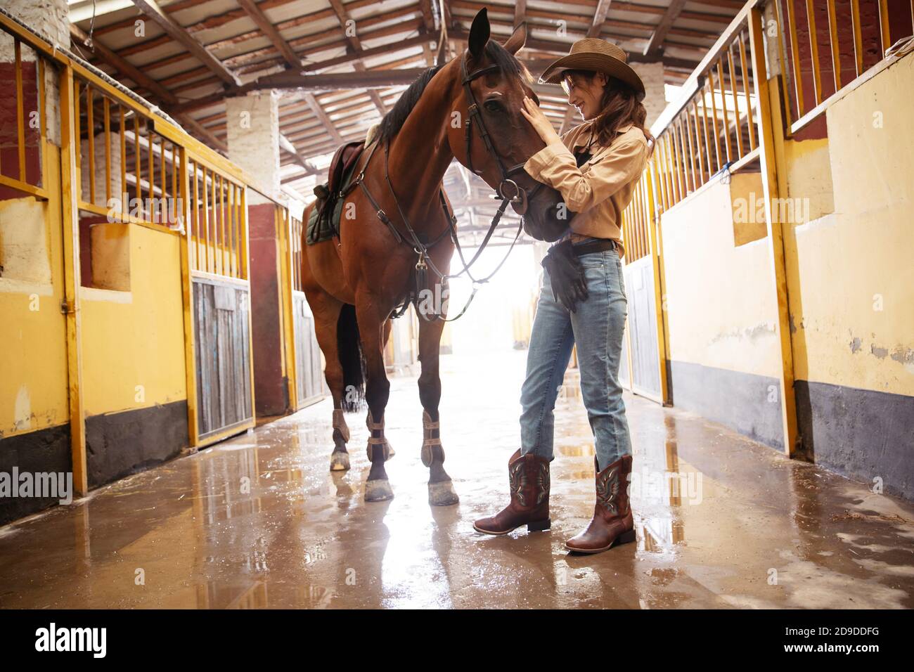 The stable and happy young woman and a horse Stock Photo - Alamy