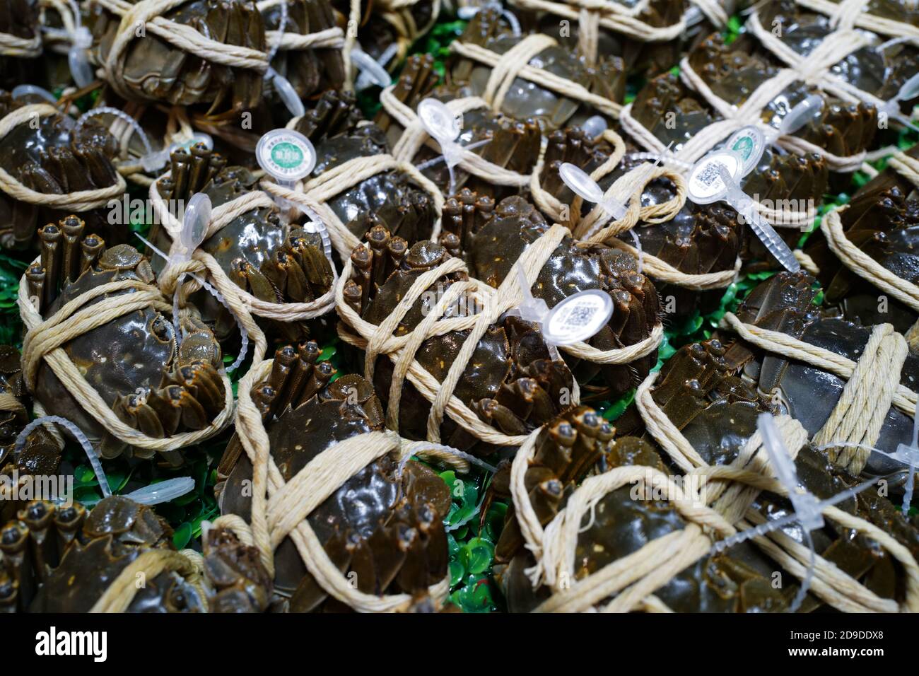 As autumn, the crab season is coming, hairy crabs are now on the shelf ...