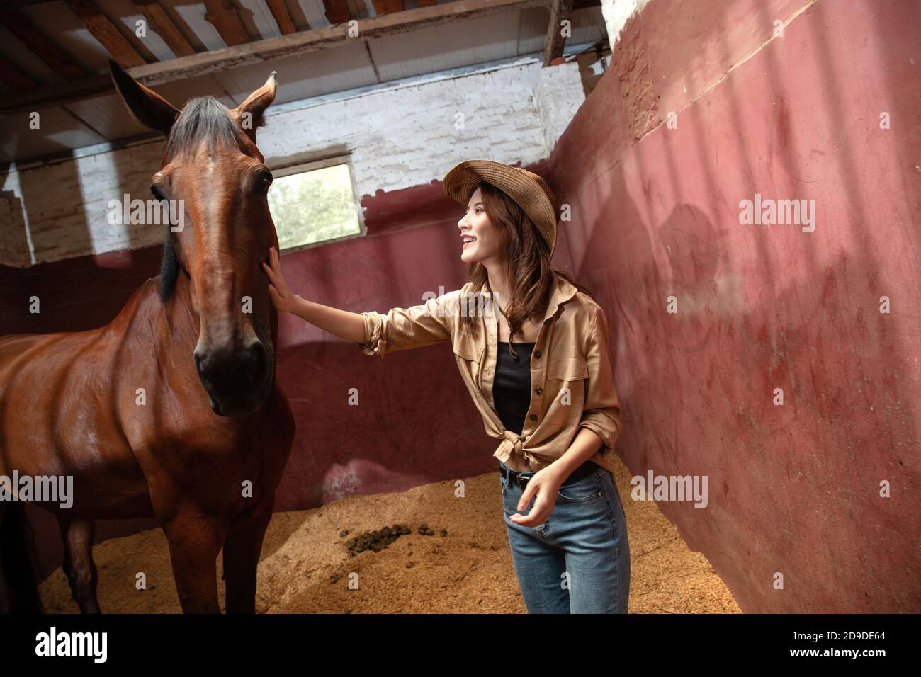 The stable of young women and horses Stock Photo - Alamy