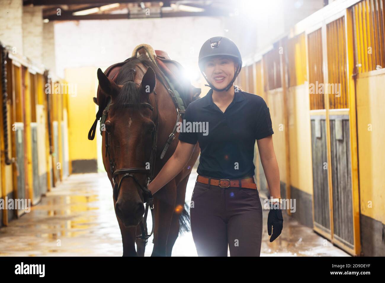 The horse in the stable of beautiful young women Stock Photo - Alamy