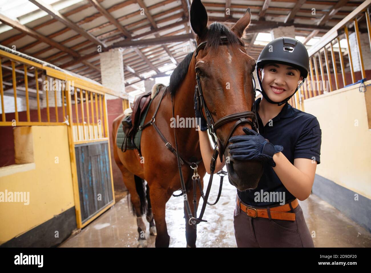 The stables of horses and a beautiful young woman Stock Photo - Alamy
