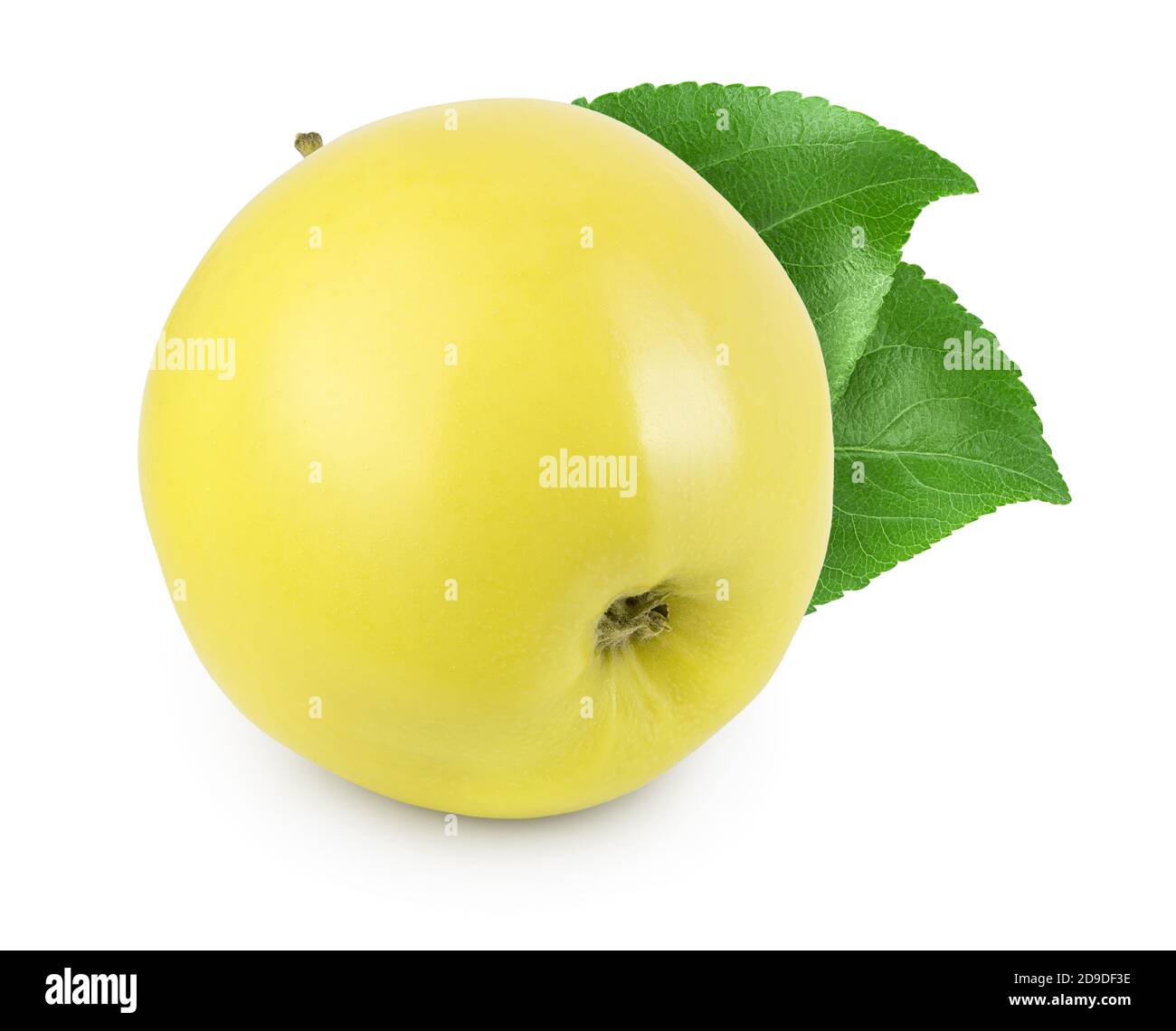 yellow apple isolated on white background with clipping path and full ...