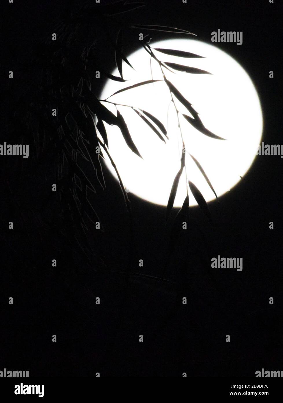 A full moon is seen above traditional Chinese-style building at Mid ...