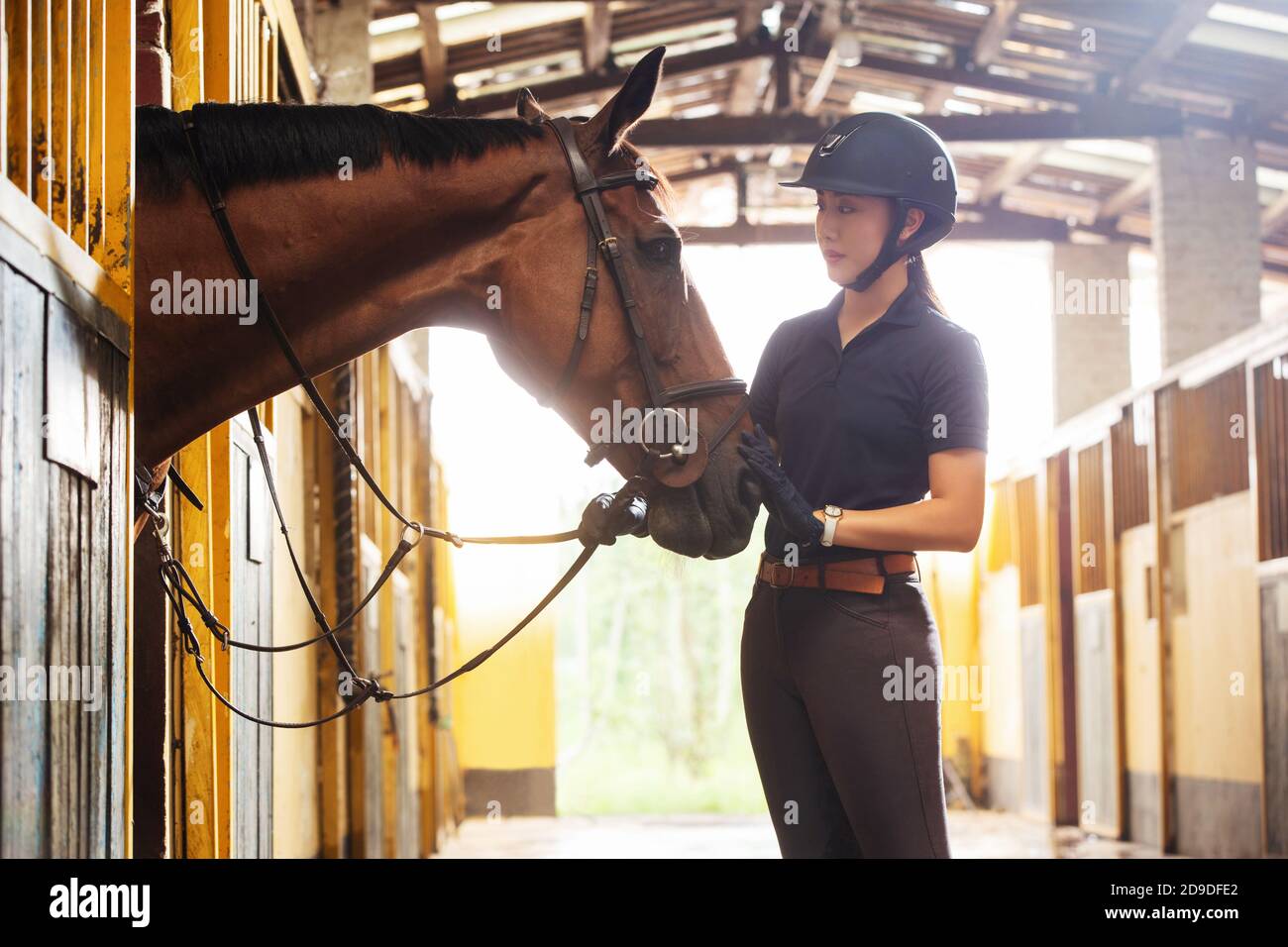 The stable calm horse young woman Stock Photo - Alamy