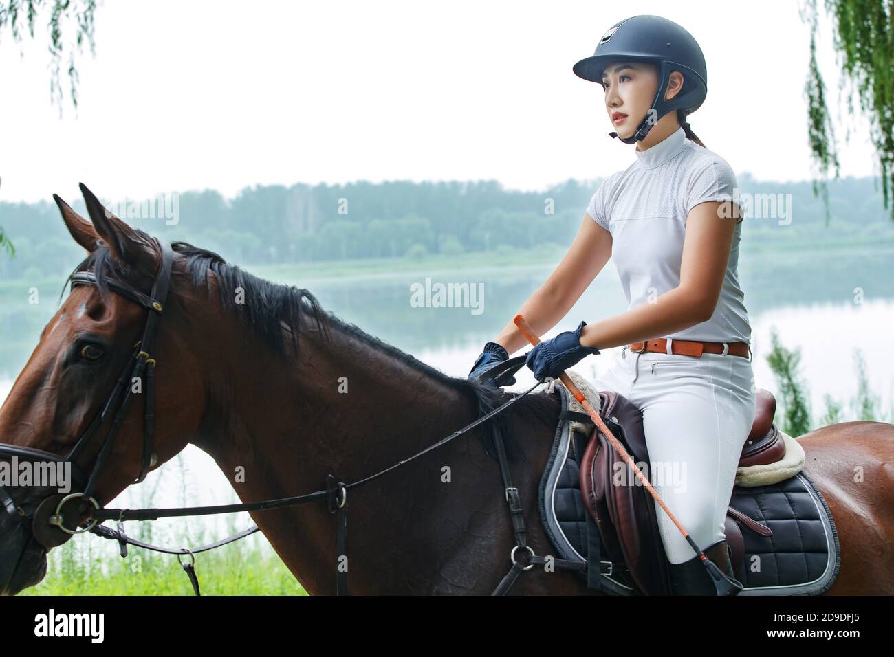The river pretty young girl riding a horse Stock Photo - Alamy