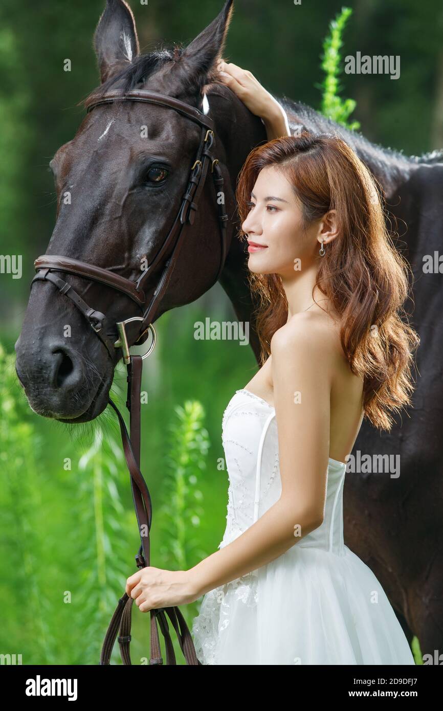 A beautiful young woman touch steed Stock Photo - Alamy