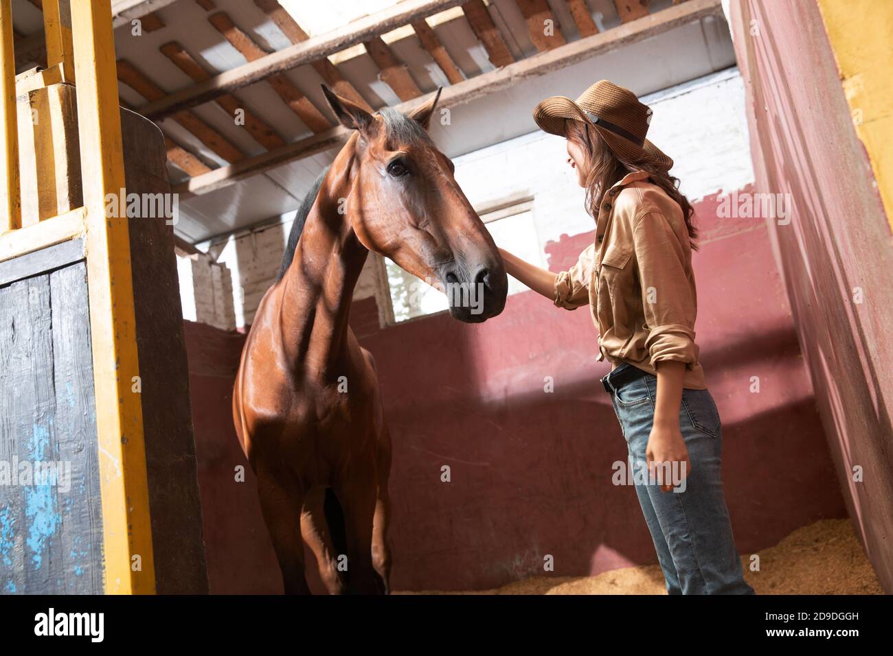 The stable of young women and horses Stock Photo - Alamy