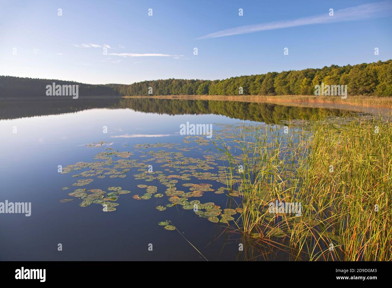 Kratzeburg hi-res stock photography and images - Alamy