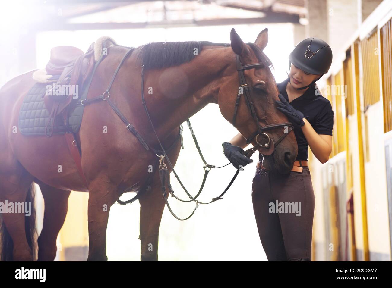 The stable calm horse young woman Stock Photo - Alamy