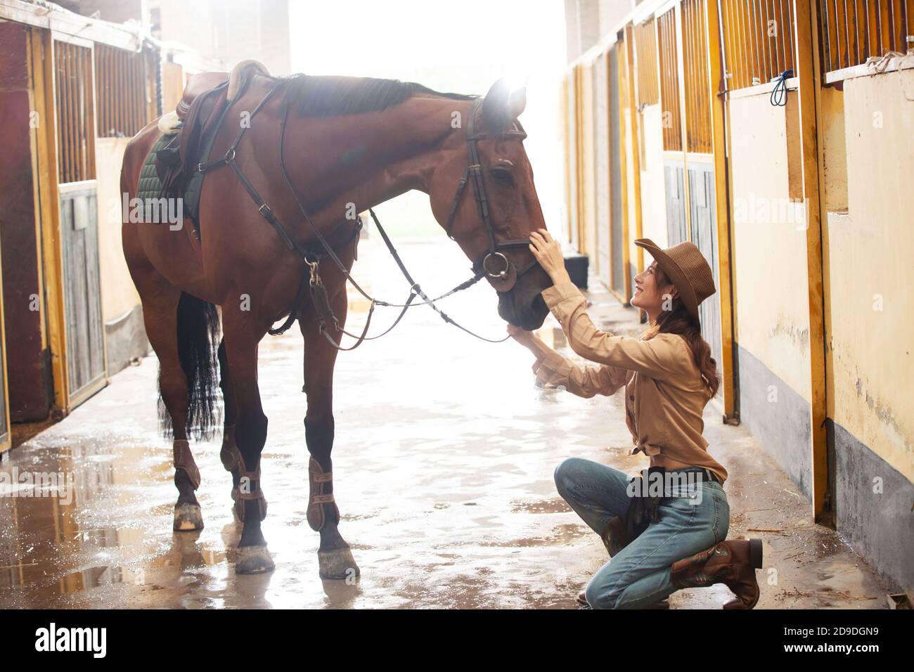 The stable of young women and horses Stock Photo - Alamy