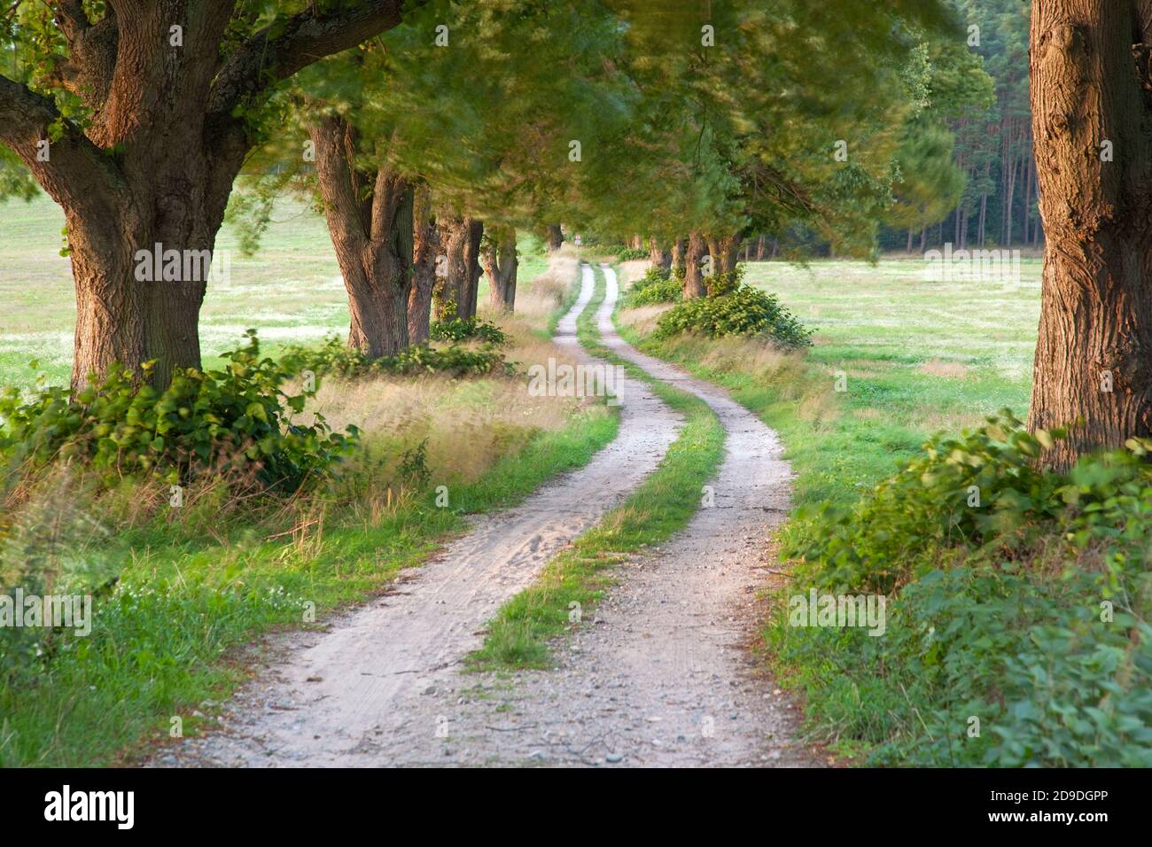 Kratzeburg hi-res stock photography and images - Alamy