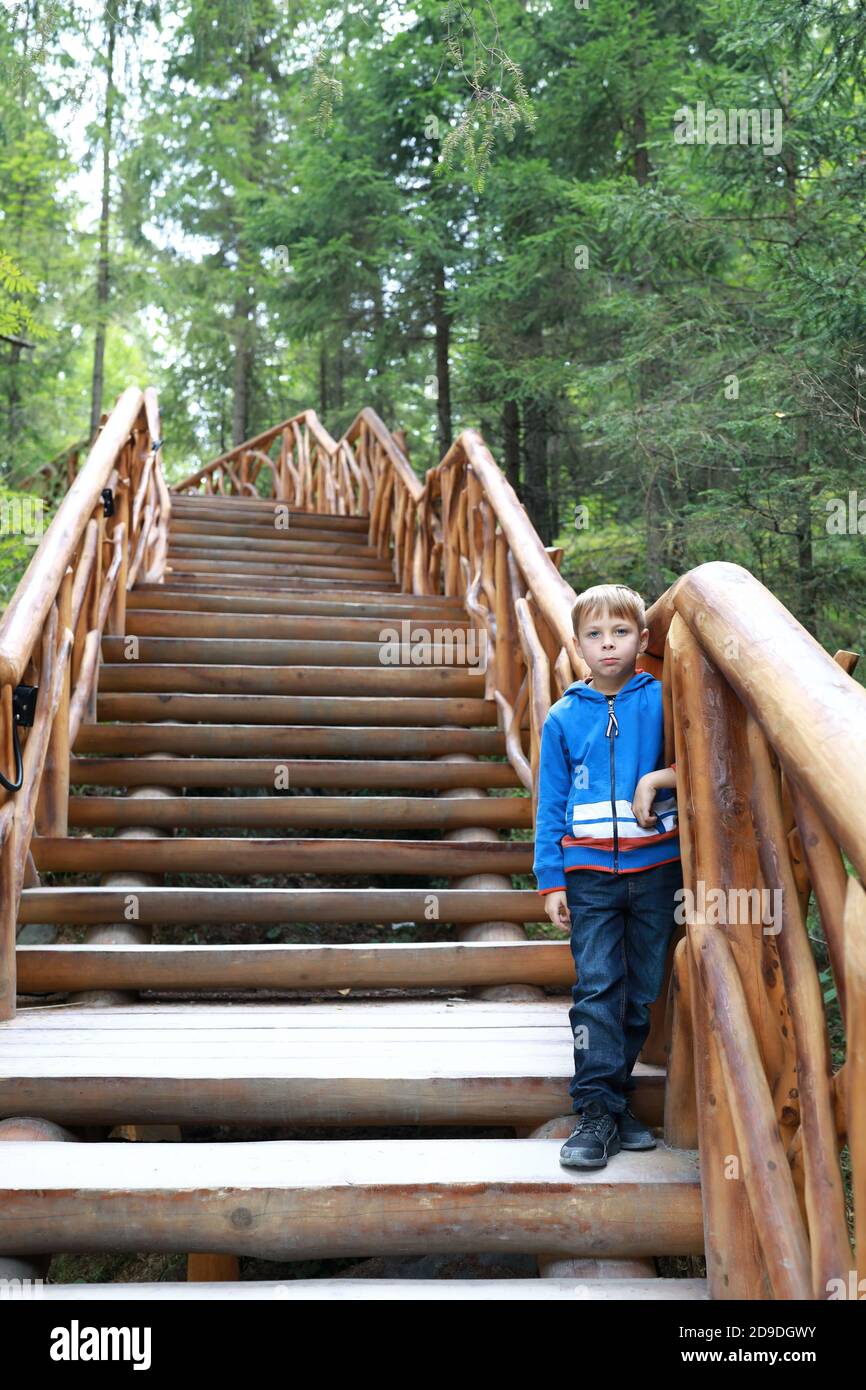 Child stairs wood forest hi-res stock photography and images - Alamy