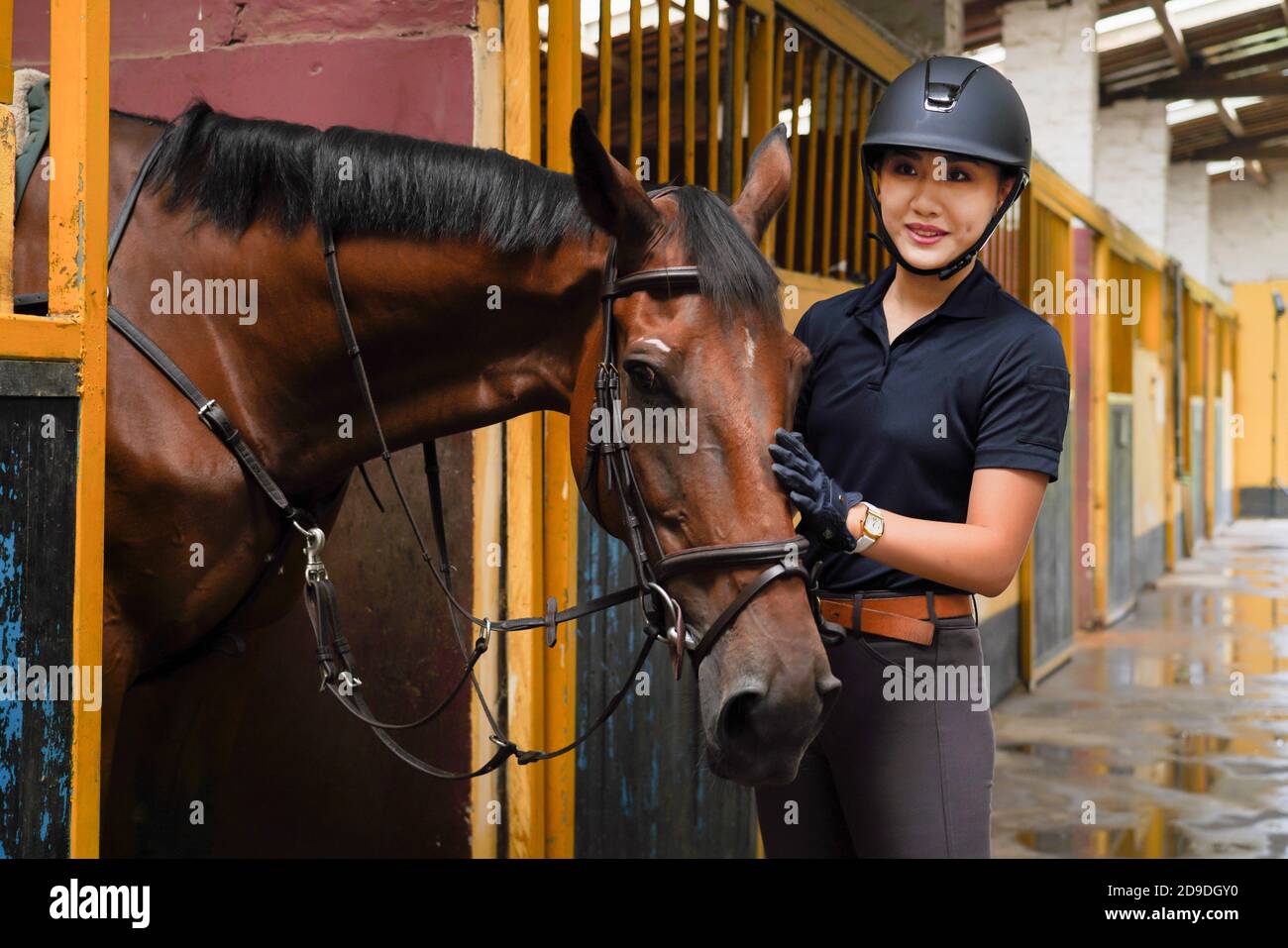 The stables of horses and a beautiful young woman Stock Photo - Alamy