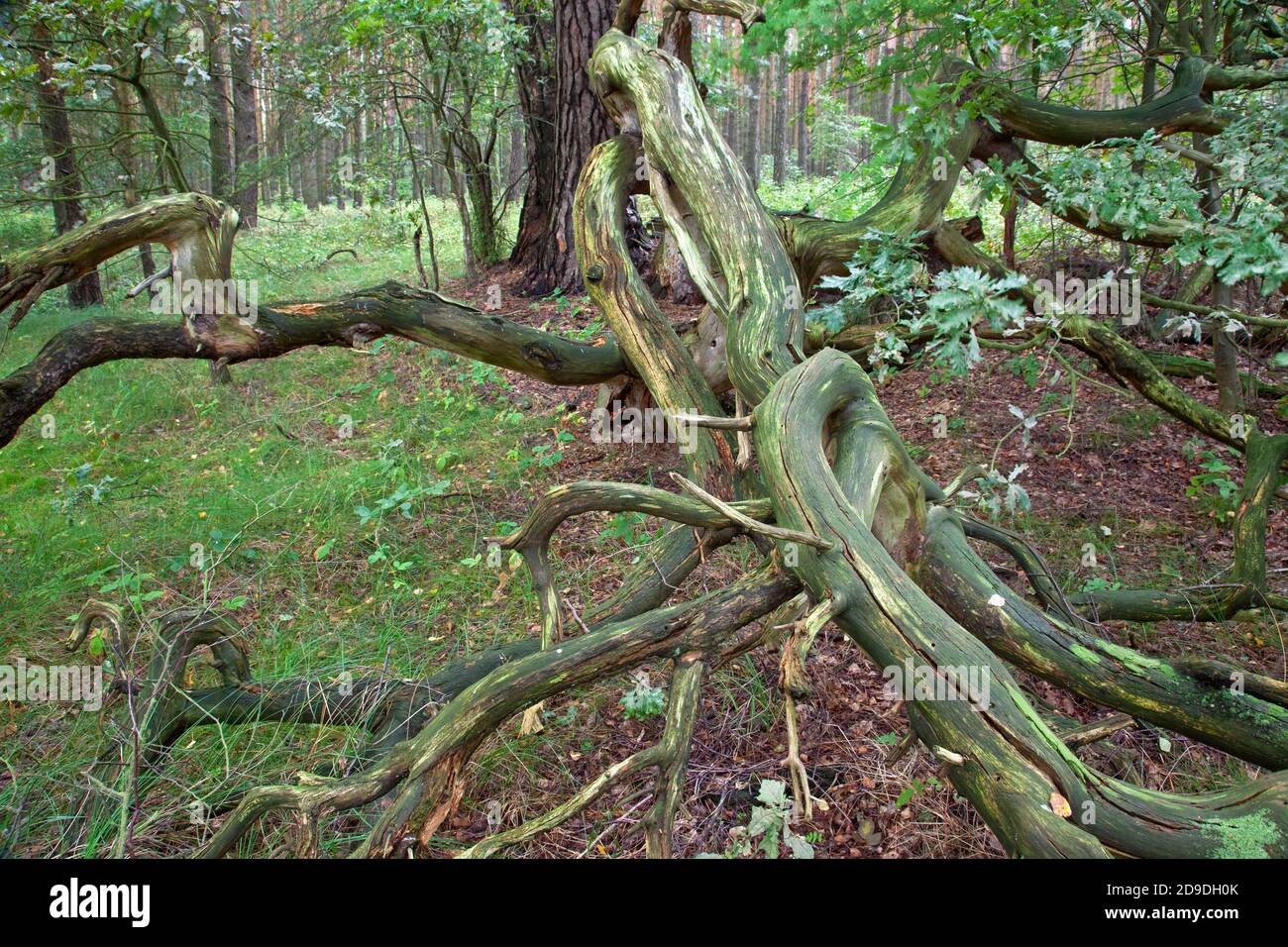 Kratzeburg hi-res stock photography and images - Alamy