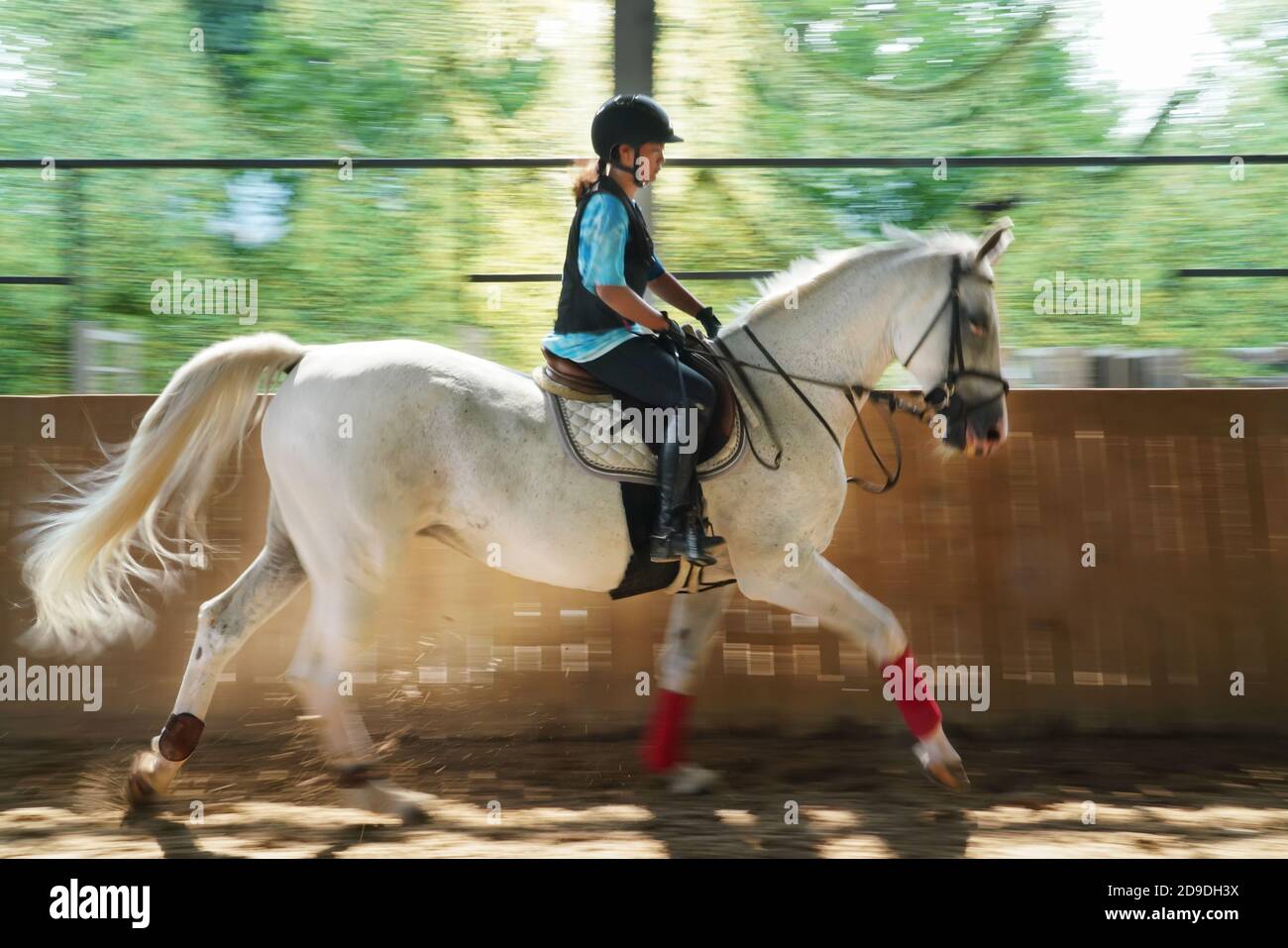 Rode the horse racecourse teenagers Stock Photo - Alamy