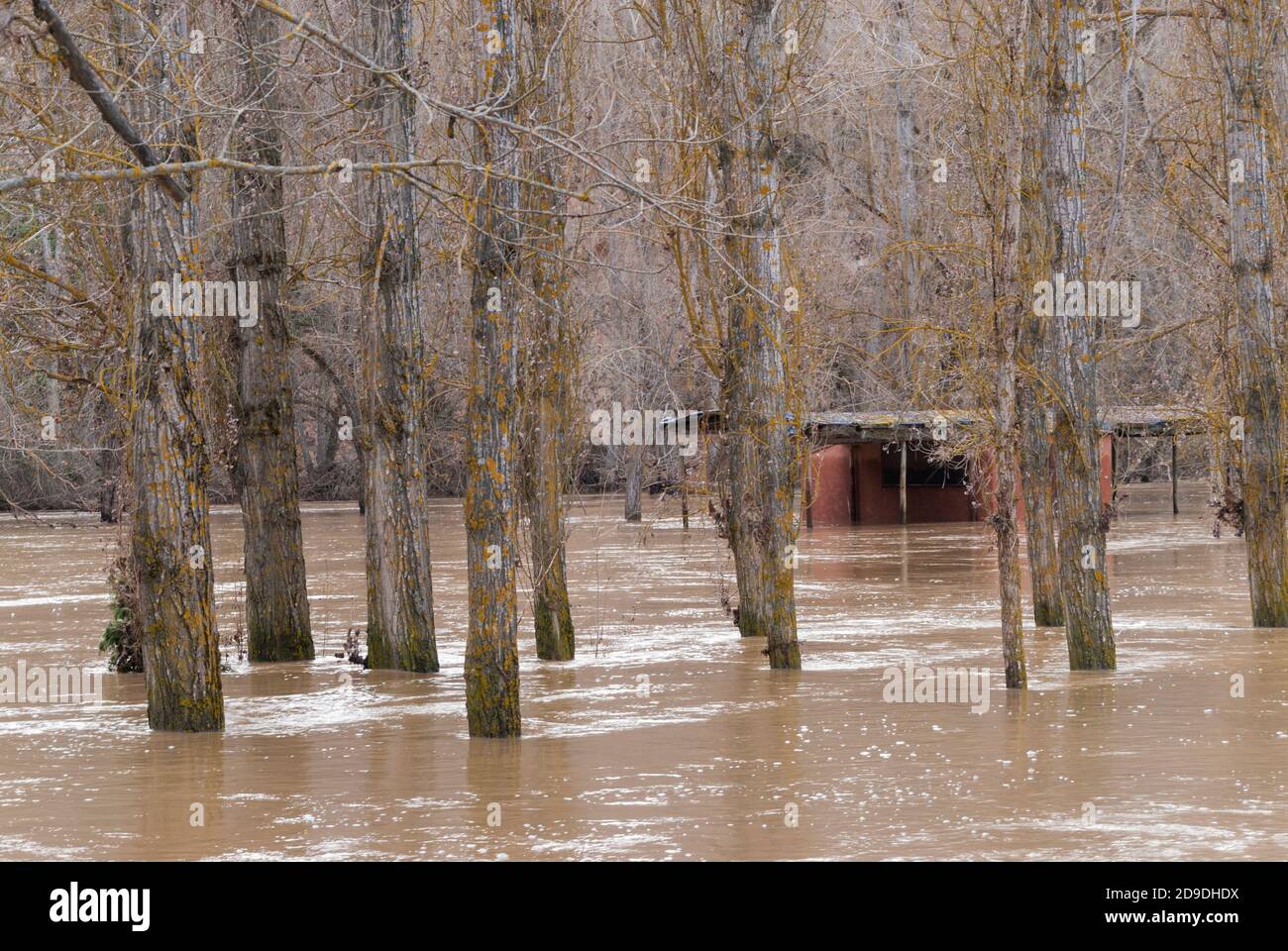 overflowing river flooded house Stock Photo - Alamy