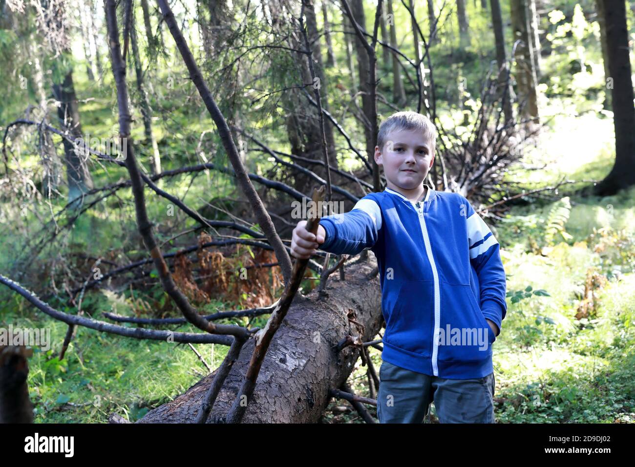 Portrait kid in pine hi-res stock photography and images - Alamy