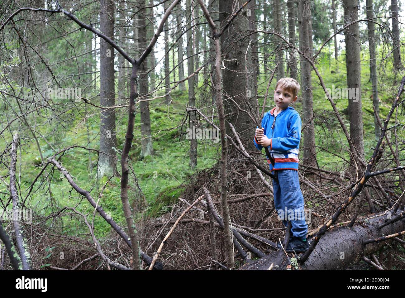 Portrait kid in pine hi-res stock photography and images - Alamy