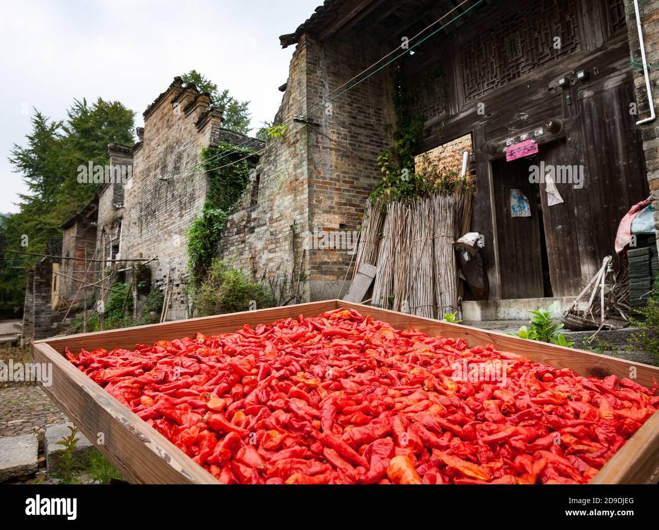 Ling cheung hi-res stock photography and images - Alamy