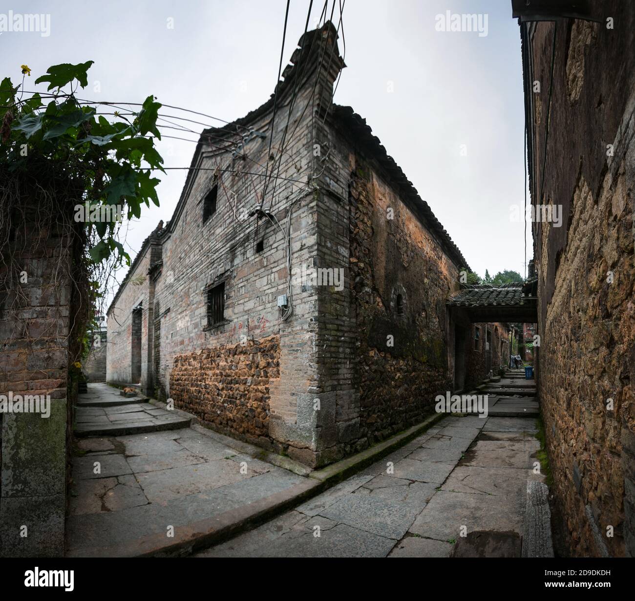 Ling cheung hi-res stock photography and images - Alamy