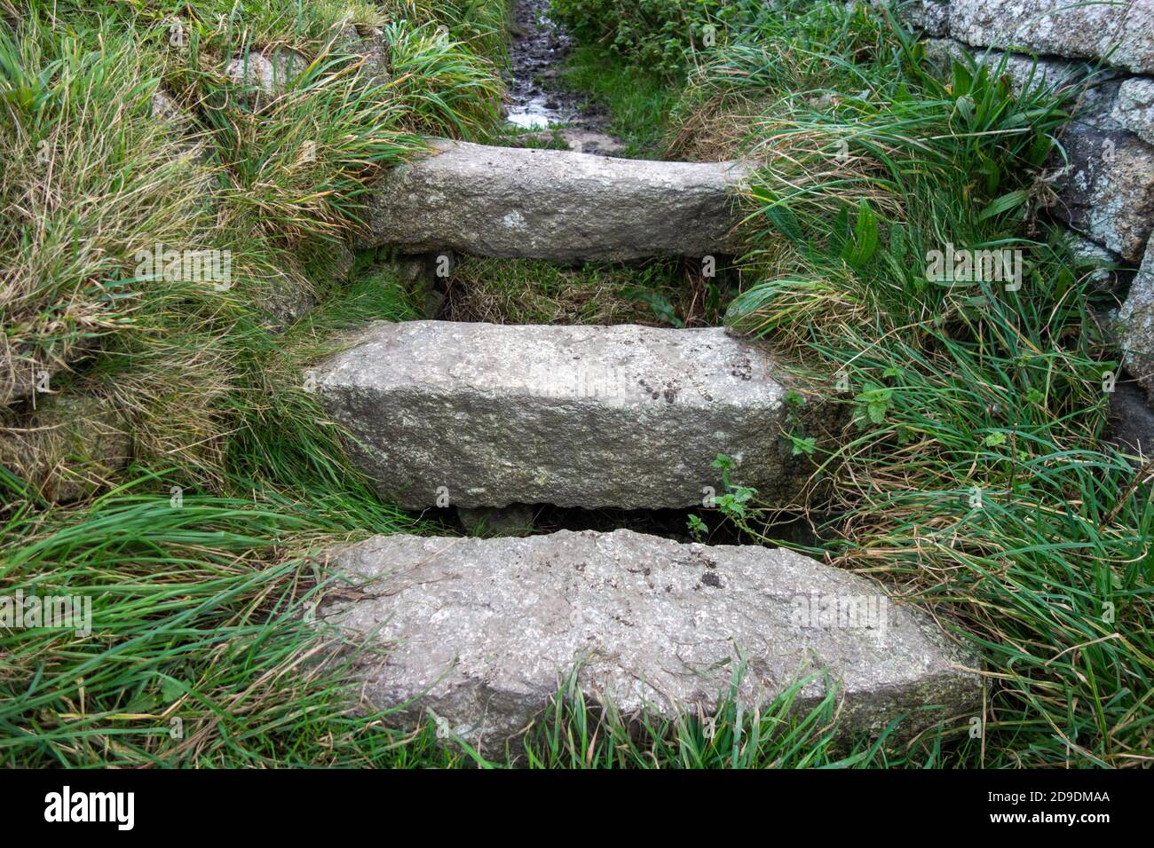 Cornish Cattle or Coffin Stile St Just Stock Photo - Alamy