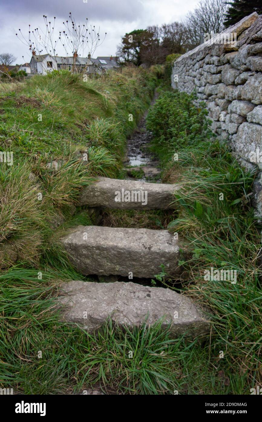 Cornish Cattle or Coffin Stile St Just Stock Photo - Alamy