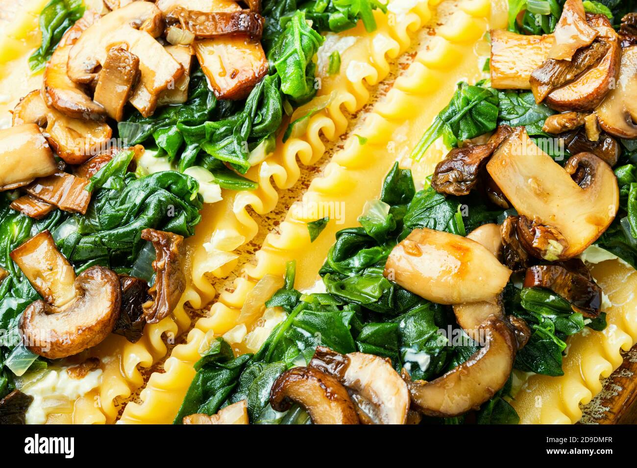 Lasagne with mushrooms,champignons,cheese and spinach. Traditional ...