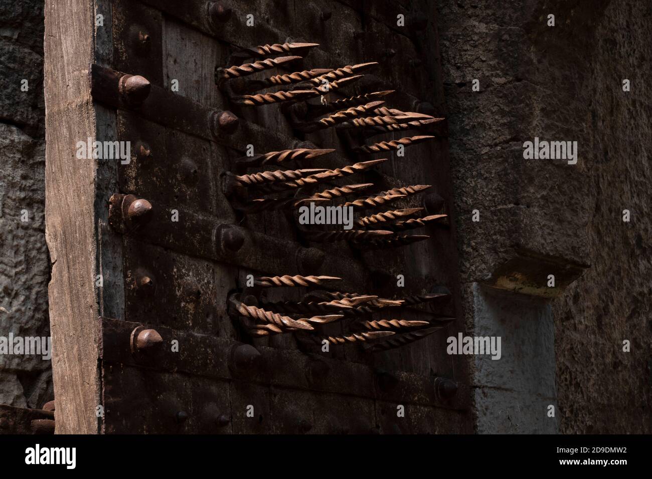a close shot of door spikes for defense against elephant attack ...