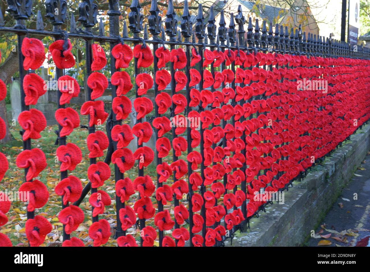 Poppys poppys hi-res stock photography and images - Alamy