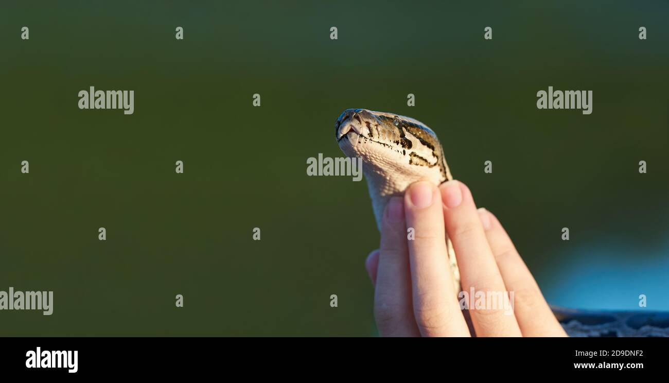 Hands on wildlife hi-res stock photography and images - Alamy