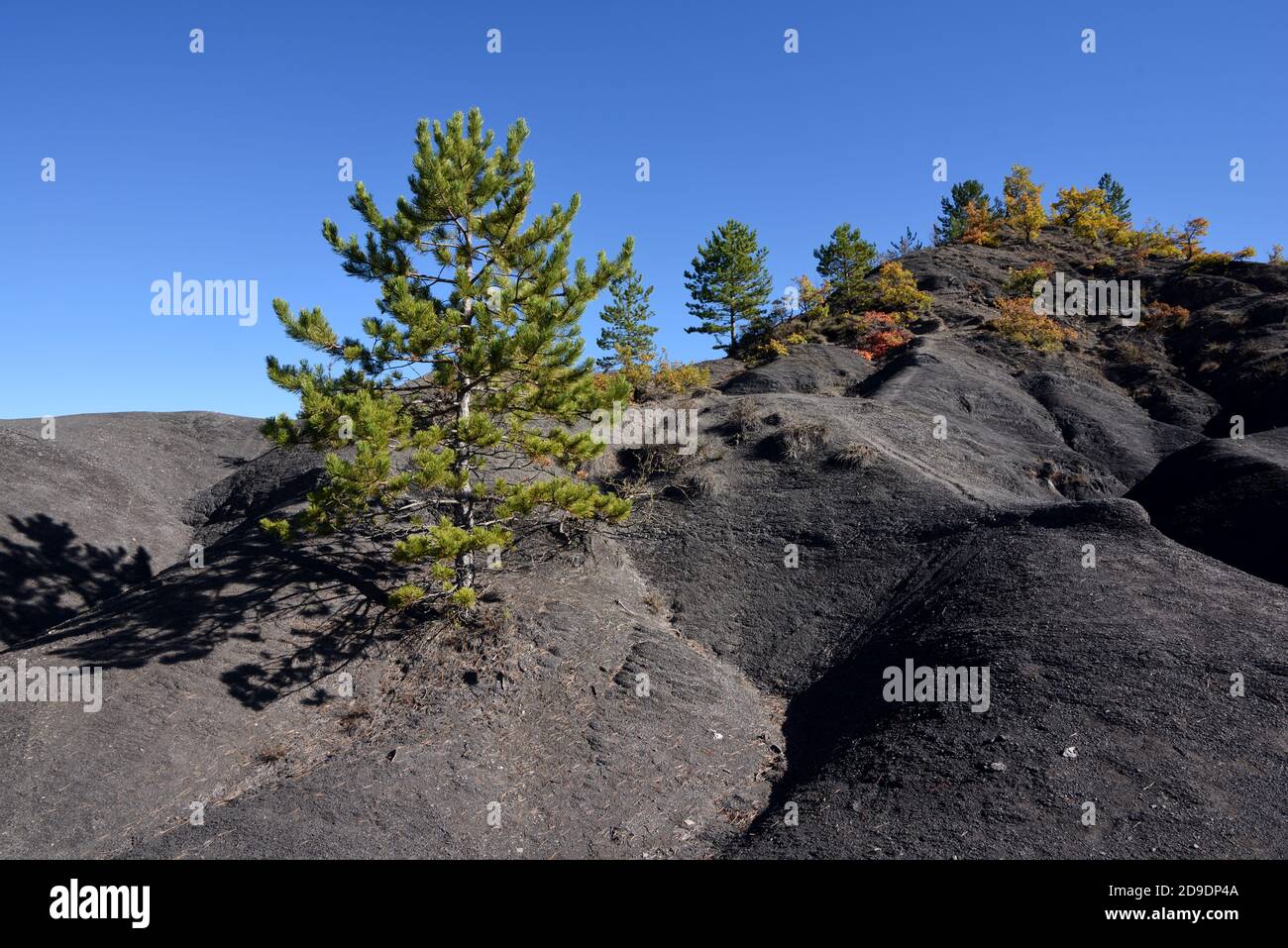 Black Marl, Marlstone or Black Shale Formations known as Robines in the ...