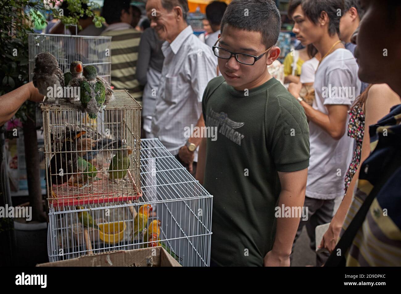 Bangkok, Thailand, March 2016. Selling parrots at the Bangkok animal ...