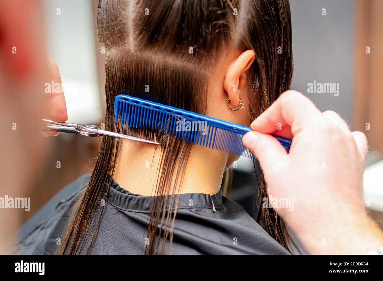 Back view of hands of male hairdresser cuts off long hair of young ...