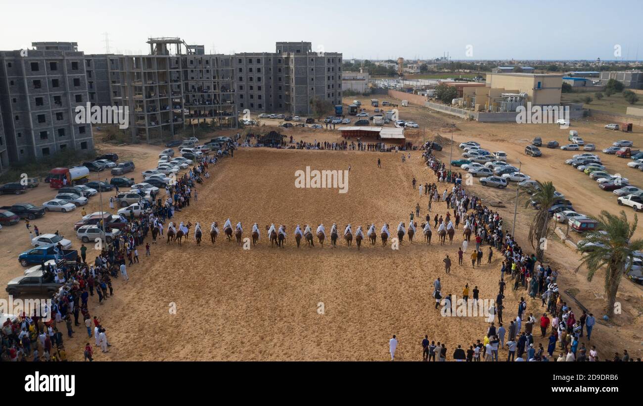 Libya horses hi-res stock photography and images - Alamy