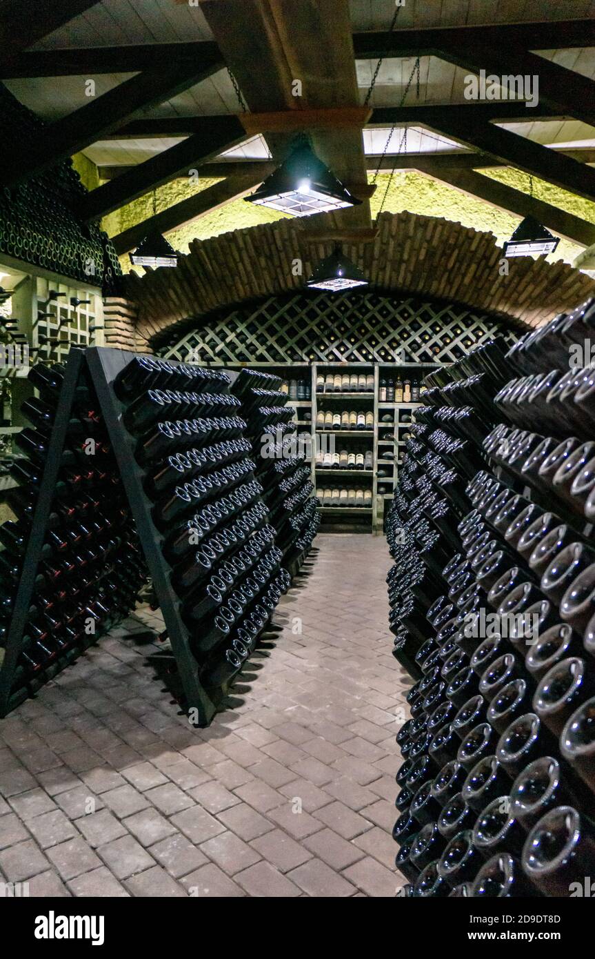 Wine cellar with wine bottles. Old wine bottles covered with dust and ...