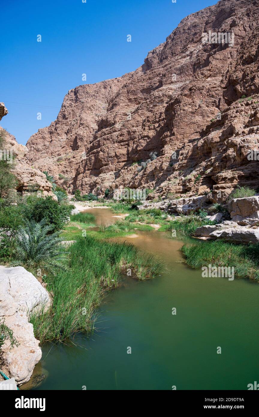 Sultanate of Oman: Wadi Bani Shab, canyon with watercourses forming ...