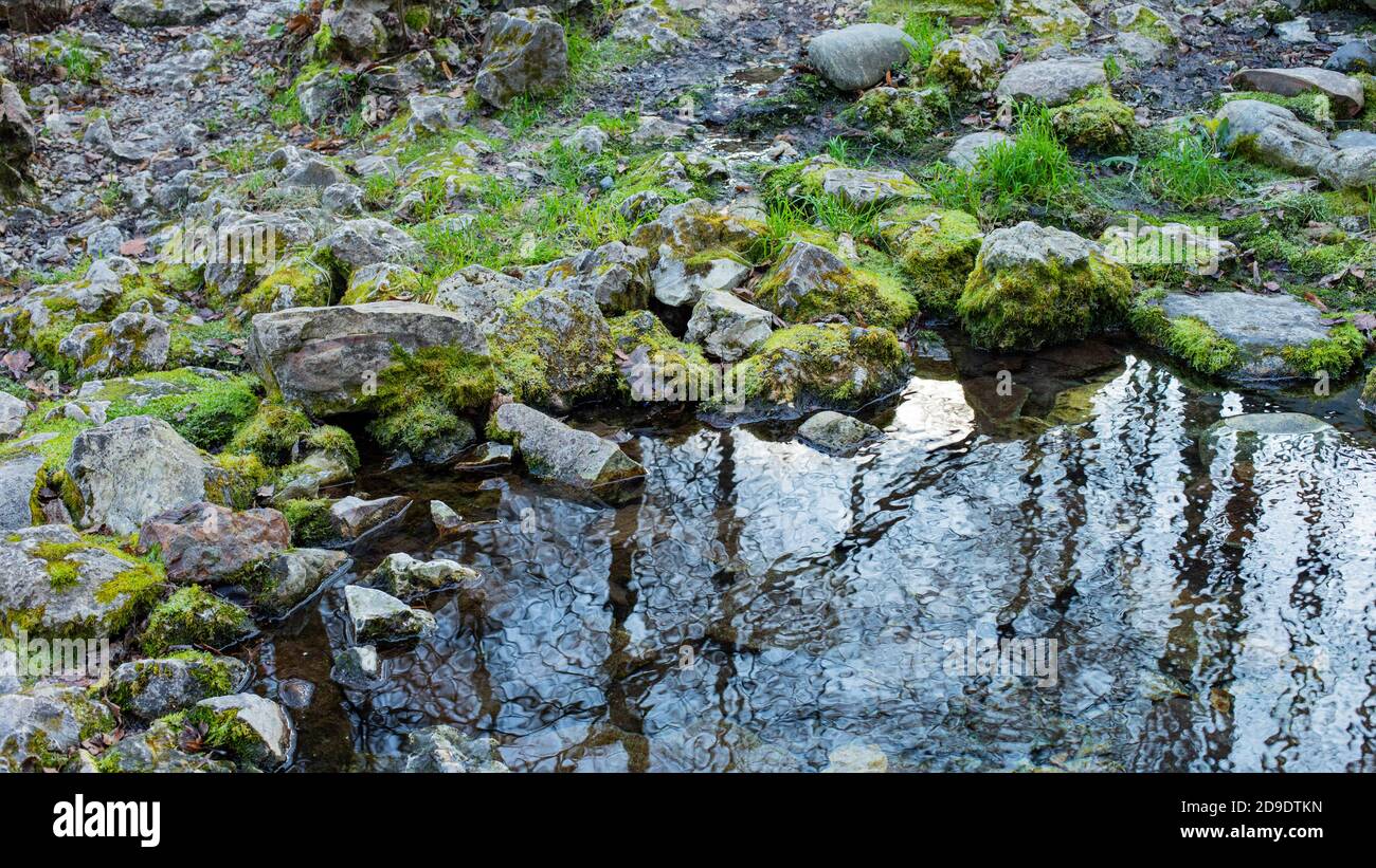 Mountain river bank, stones covered with moss, clear water, natural ...