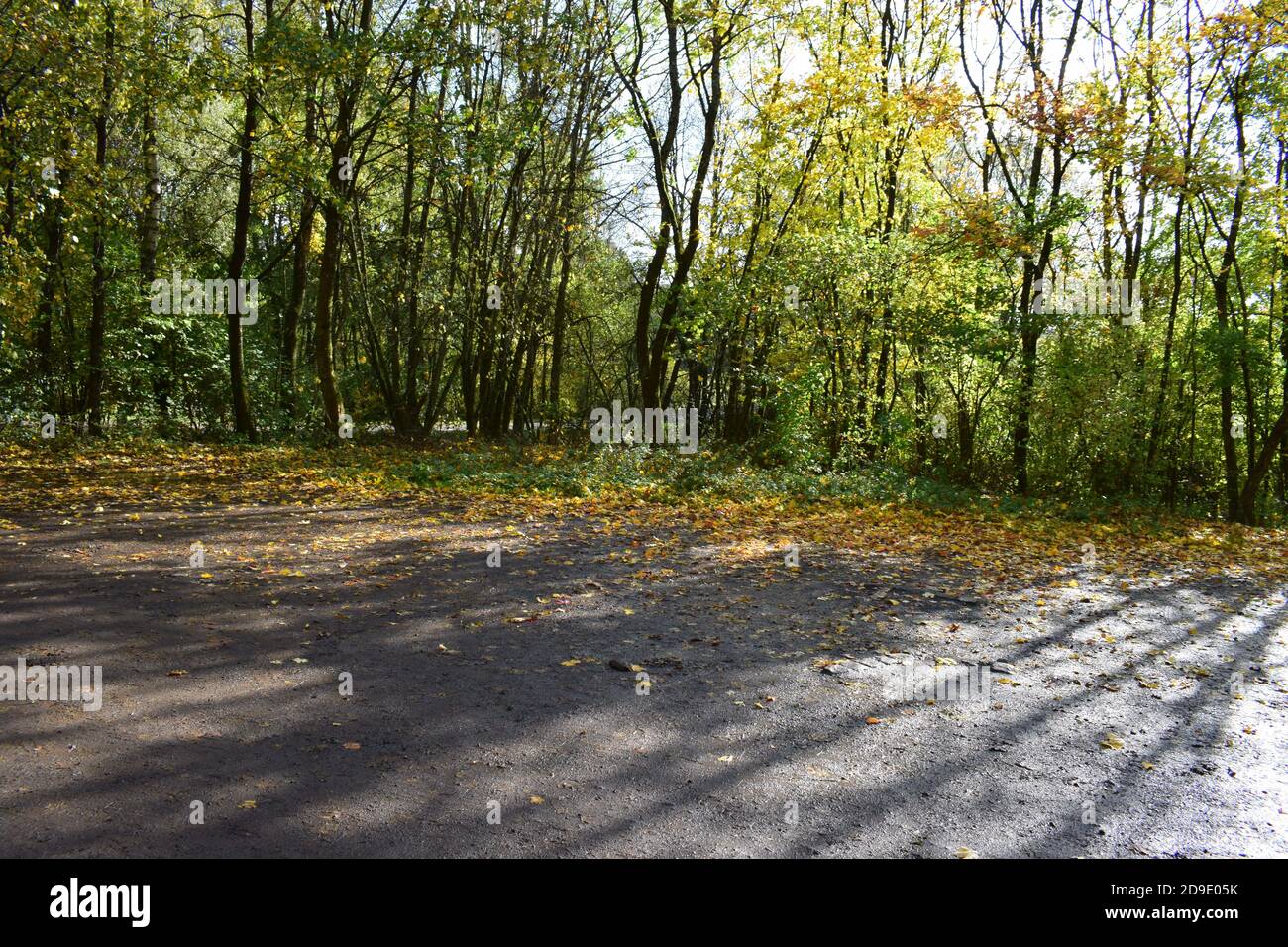 parking lot in autumn Stock Photo - Alamy