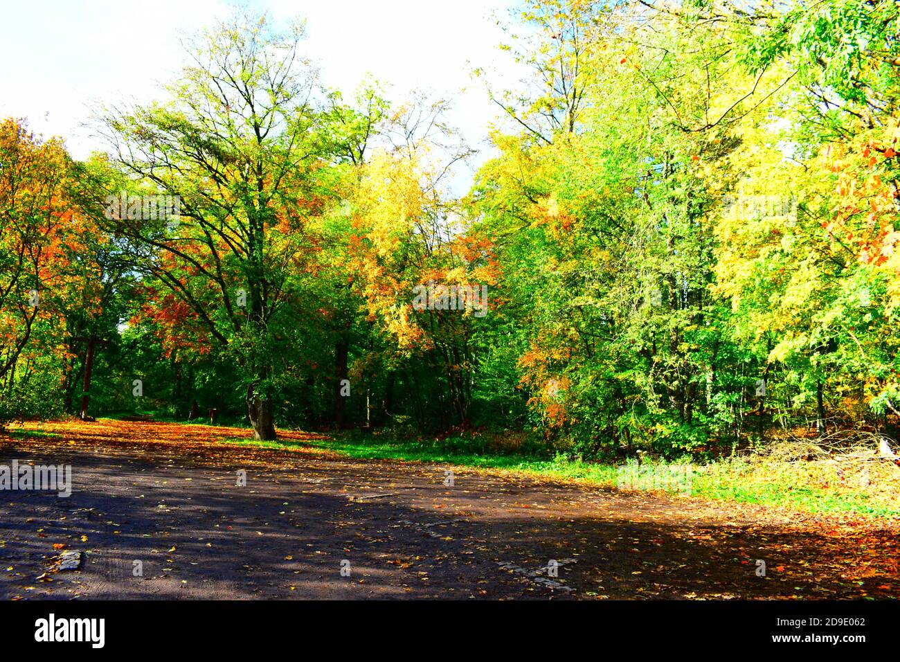 parking lot in autumn Stock Photo - Alamy
