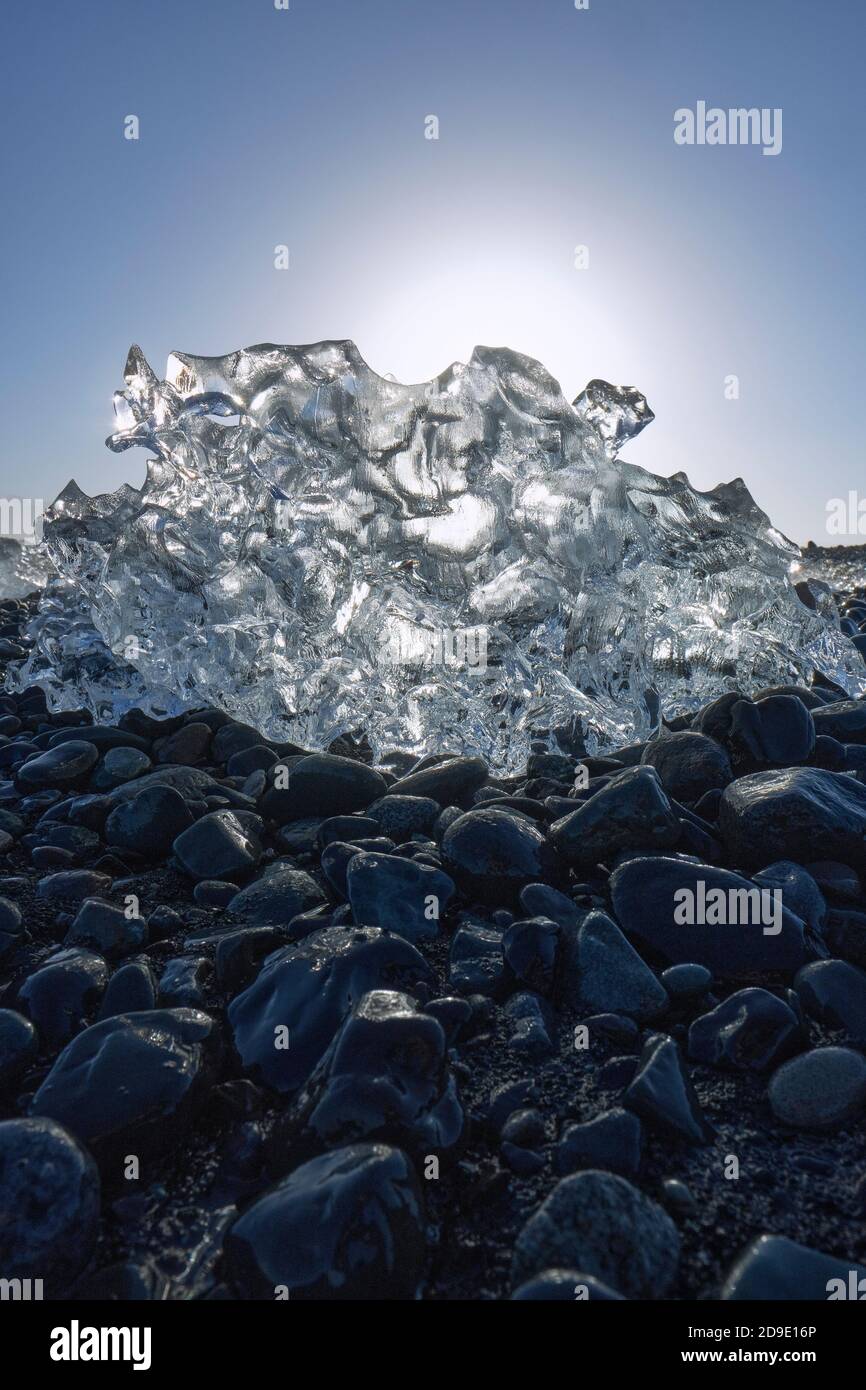 Melting glacial iceberg fragments on the black basalt pebble beach of ...