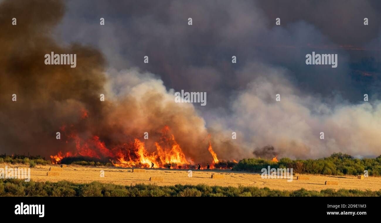 Spectacular long shot of firefighters in the first fire line Stock ...