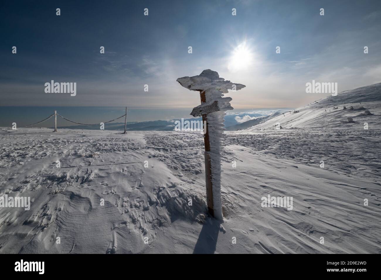 Snow covered pointer near path on snowy mountain plateau and sunshine ...