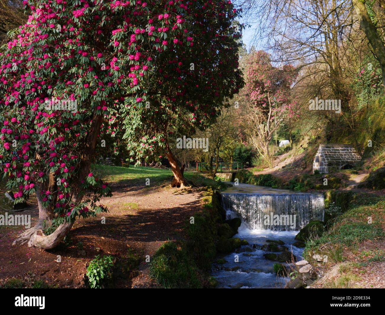 Menacuddle well cornwall hi-res stock photography and images - Alamy