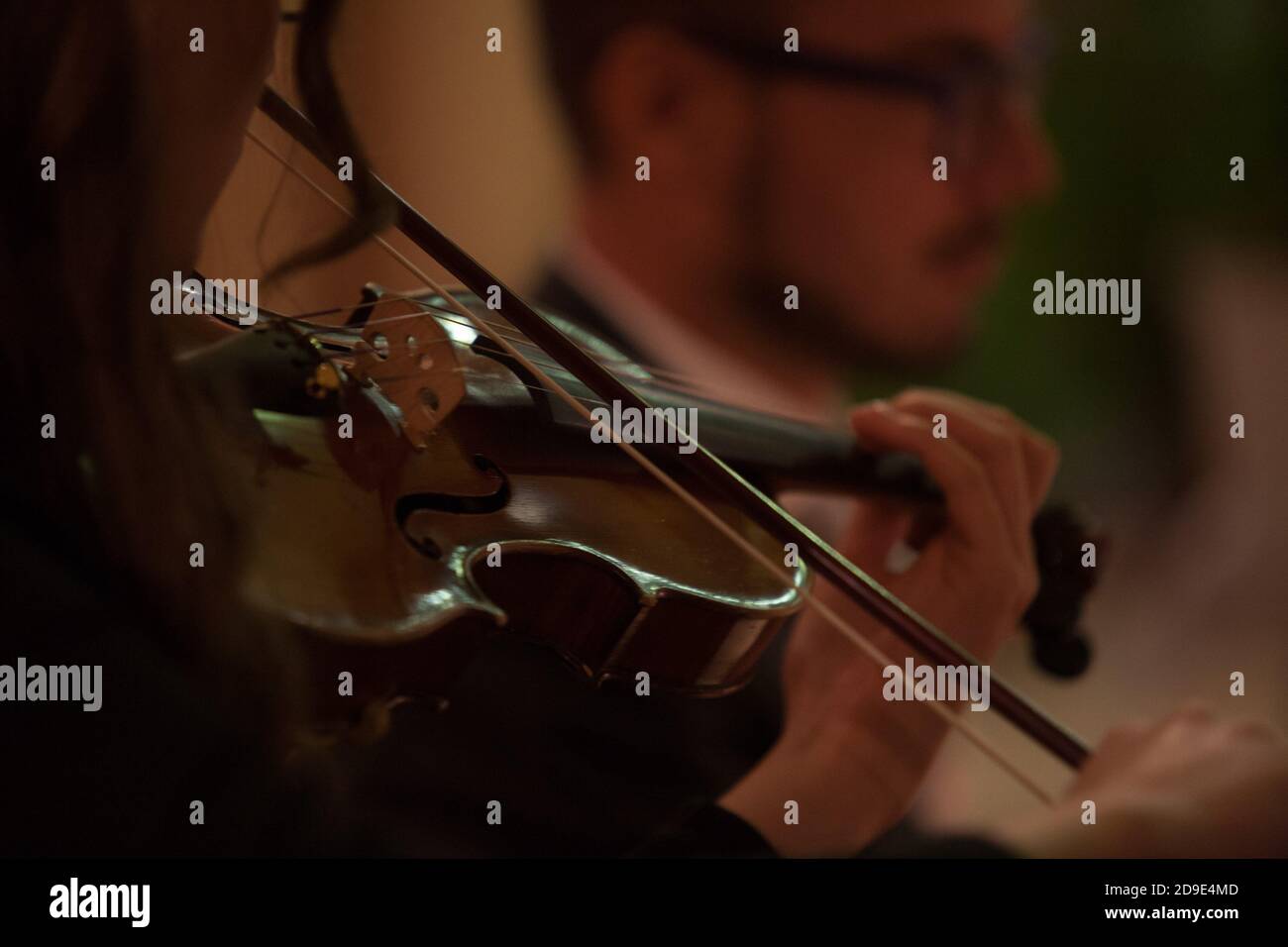 Violin professional player Stock Photo - Alamy