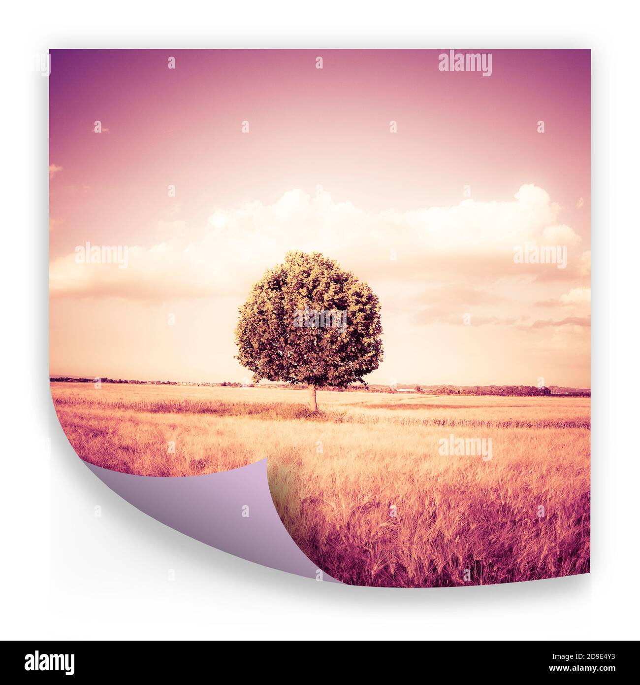 Travel in rural italy Cut Out Stock Images & Pictures - Alamy