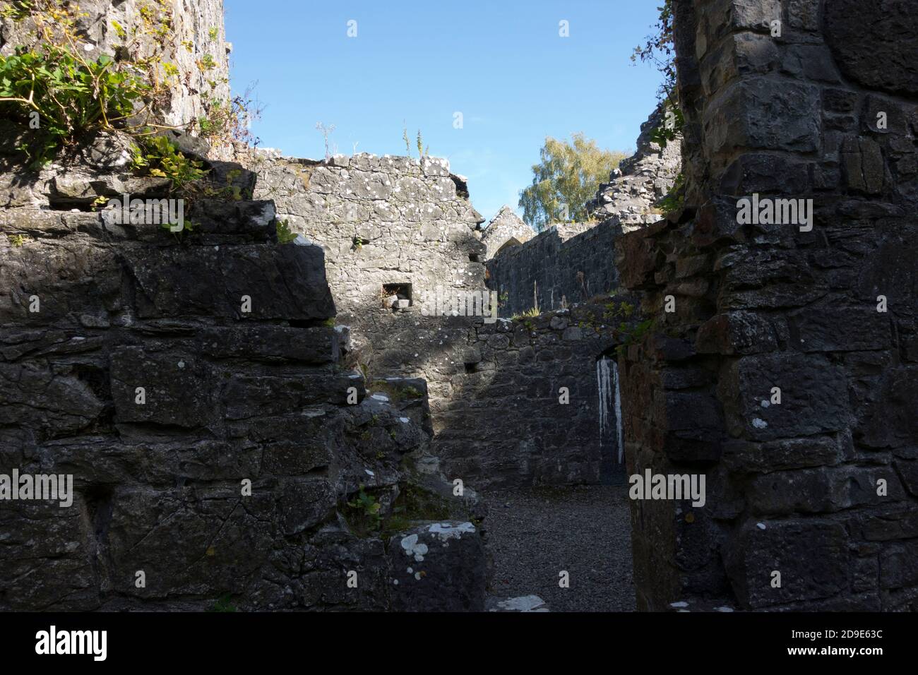 the roman catholic church in ireland, building, architecture and ...