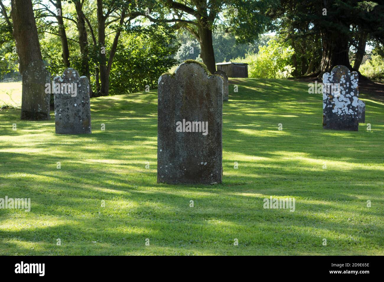 the roman catholic church in ireland, building, architecture and ...