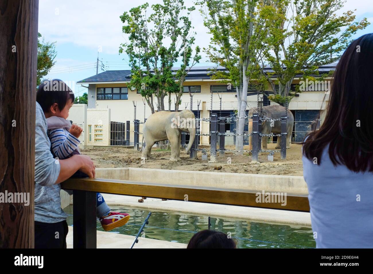 The newly opened elephant enclosure at Kyoto Zoo in Kyoto, Japan, in ...